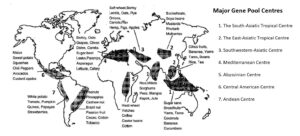 Major Gene Pool Centres by Nicolay Vavilov - Pan Geography