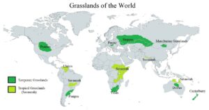 Grasslands of the World - Pan Geography